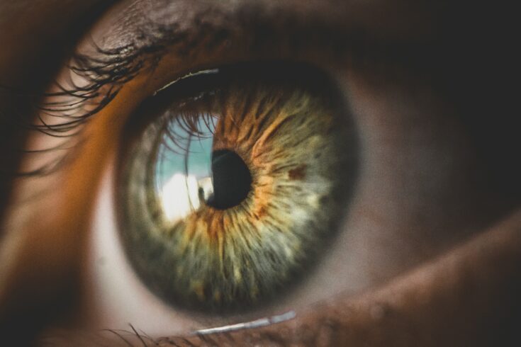 Color de ojos: origen y rareza de los ojos azules, verdes, avellana ...