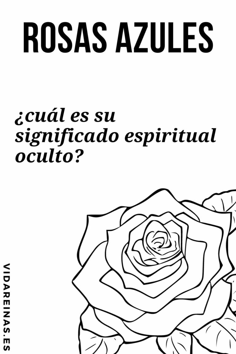Rosas azules: ¿cuál es su significado espiritual oculto? - Vida Reinas