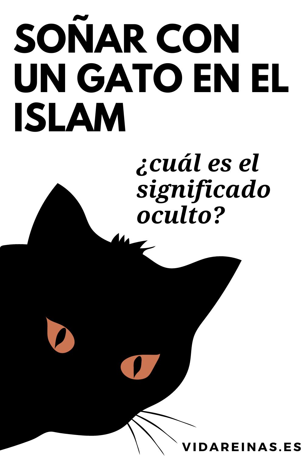 Soñar con un gato en el Islam: ¿cuál es el significado oculto? - Vida ...