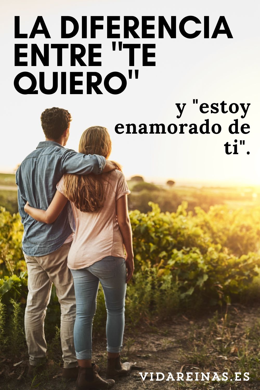 La diferencia entre "te quiero" y "estoy enamorado de ti". - Vida Reinas