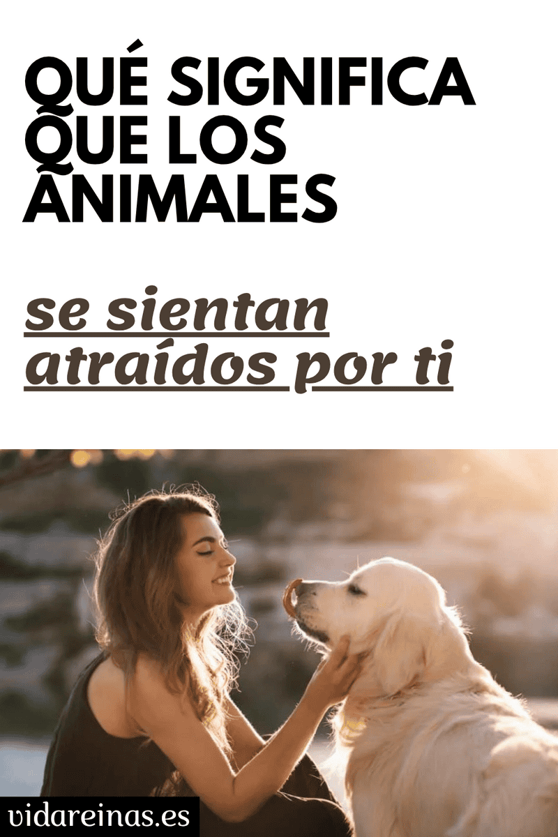 ¿Qué significa que los animales se sientan atraídos por ti? - Vida Reinas